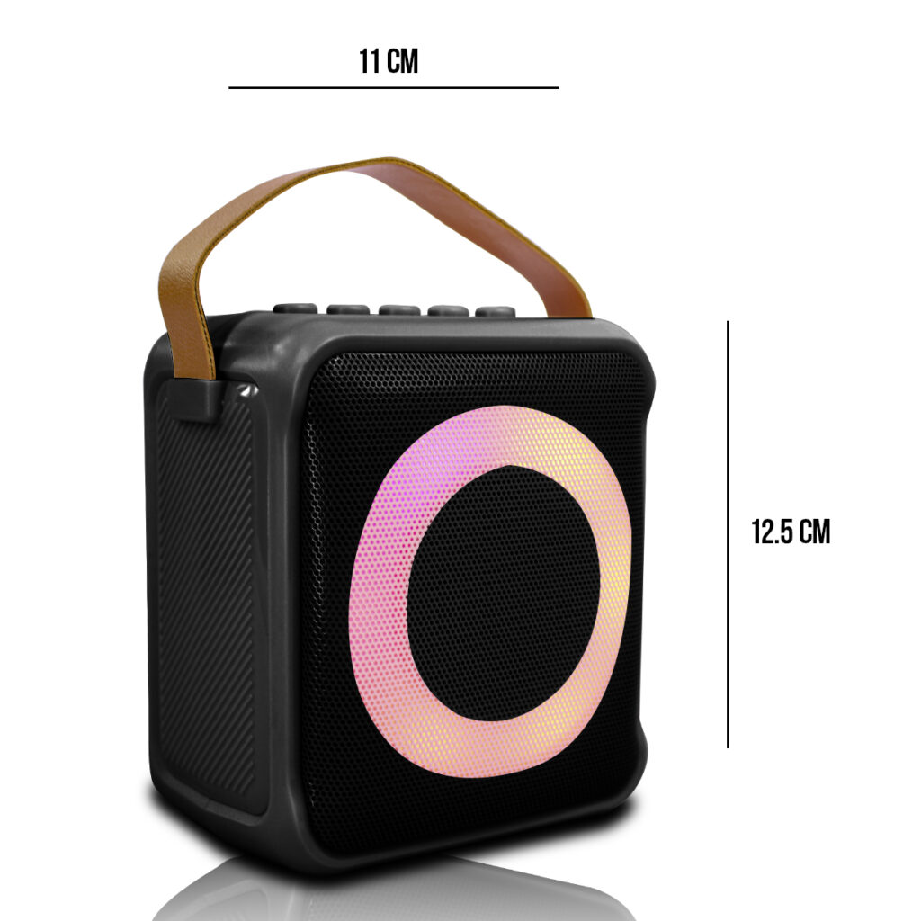 Bocina Inalámbrica Portátil con Micrófono Inalámbrico y Asa XM7318 - Playbox Electronics